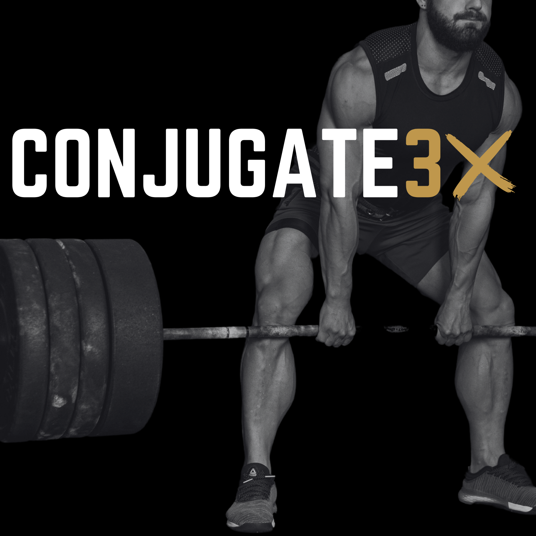 All Access Bundle - Training Subscription – Jason Brown Coaching