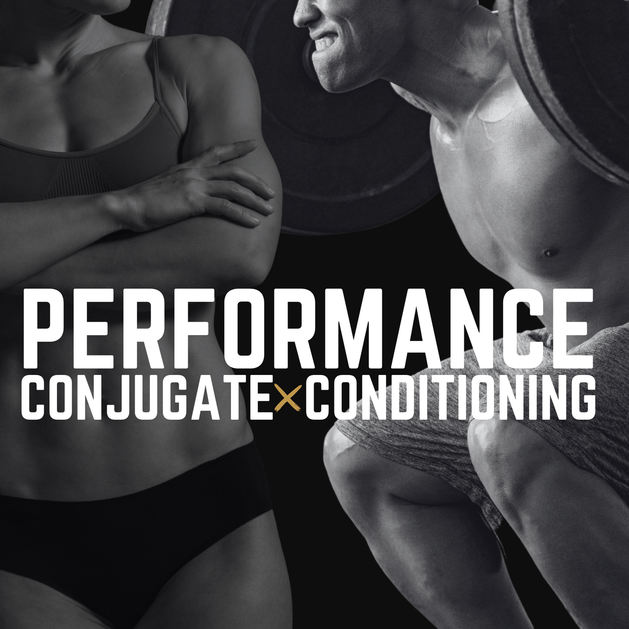 All Access Bundle - Training Subscription – Jason Brown Coaching