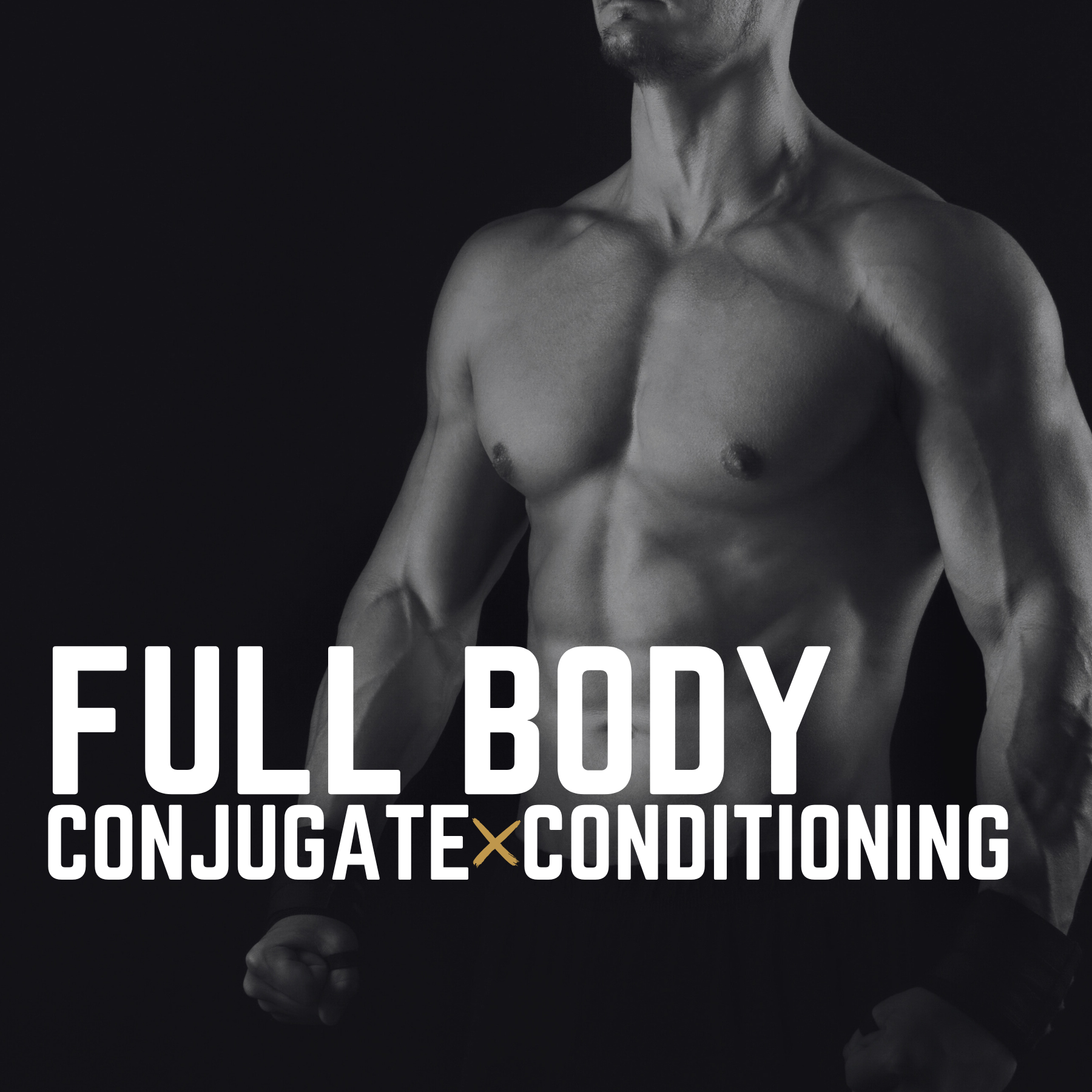 All Access Bundle - Training Subscription – Jason Brown Coaching